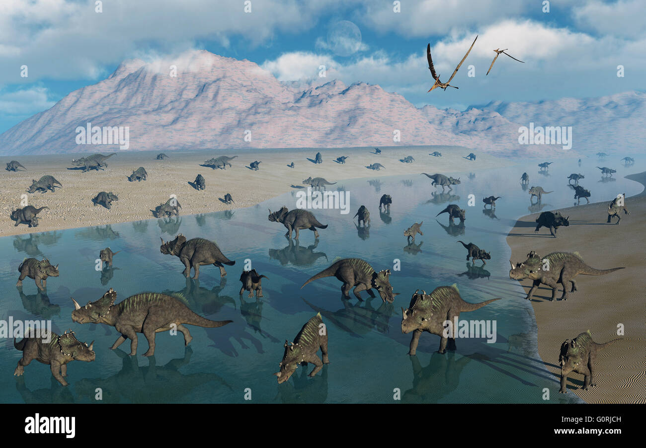 A Herd Of Centrosaurus Dinosaurs Stock Photo - Alamy