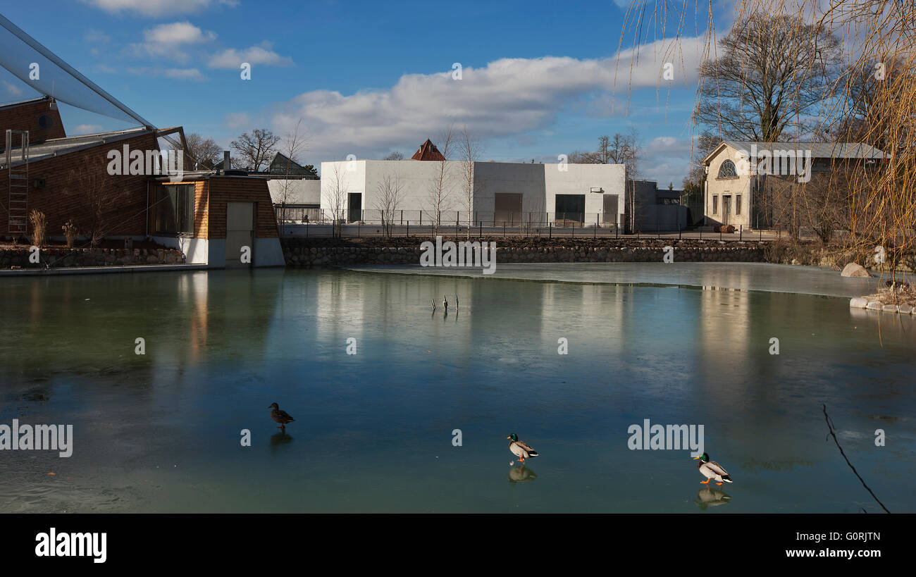 The Arctic Ring, Copenhagen Zoo. The Arctic Ring attempts to resemble ...