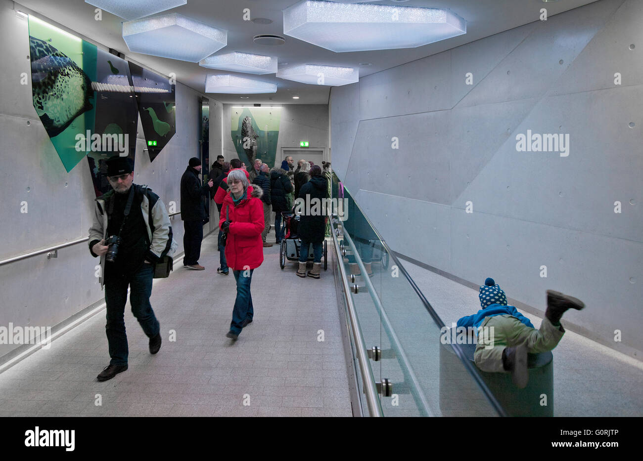 The Arctic Ring, Copenhagen Zoo. The Arctic Ring attempts to resemble ...
