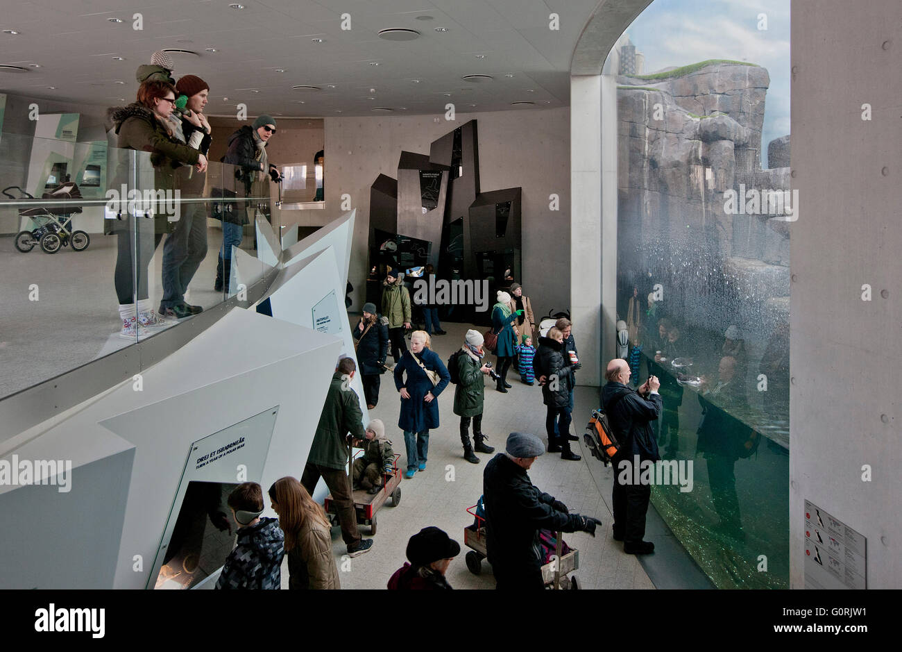 Groups of polar bears hi-res stock photography and images - Alamy