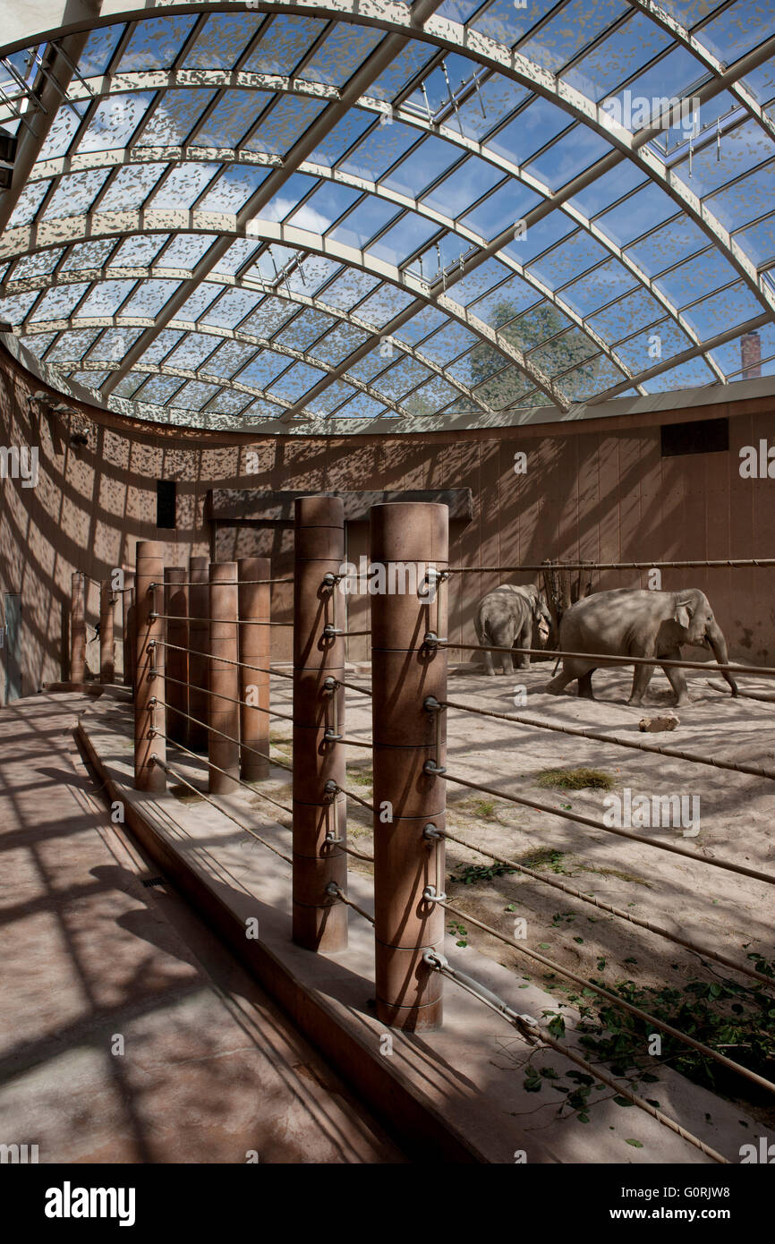 The Elephant House, Copenhagen Zoo. View of two elephants inside the ...
