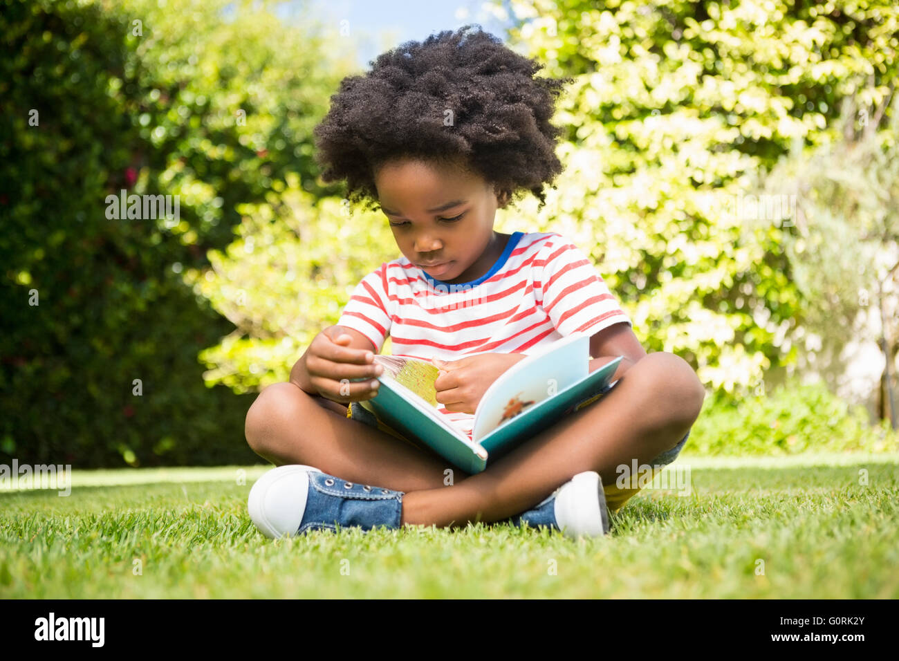 Boy reading a book in a park Stock Photo - Alamy
