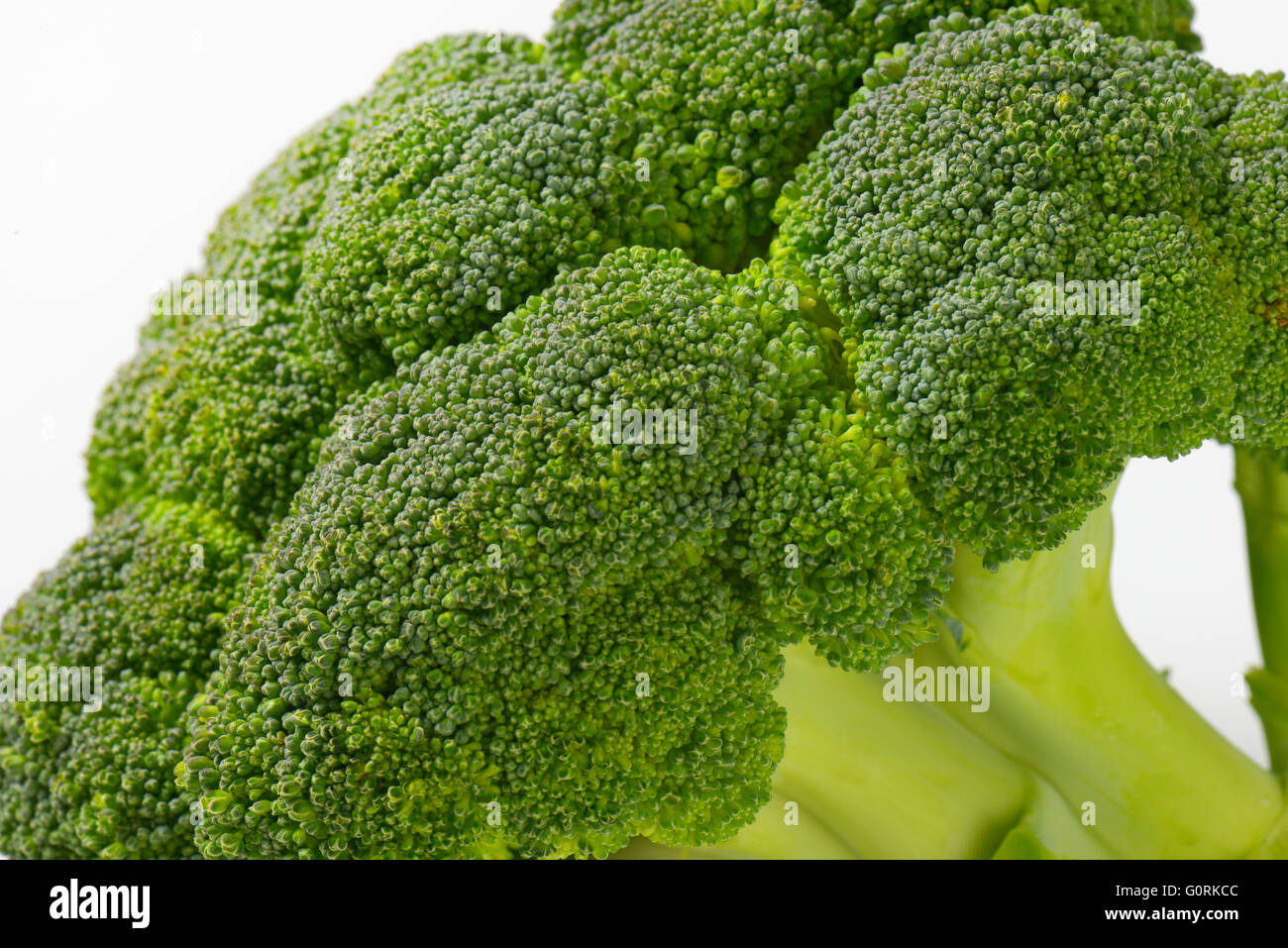 detail of fresh broccoli head Stock Photo - Alamy