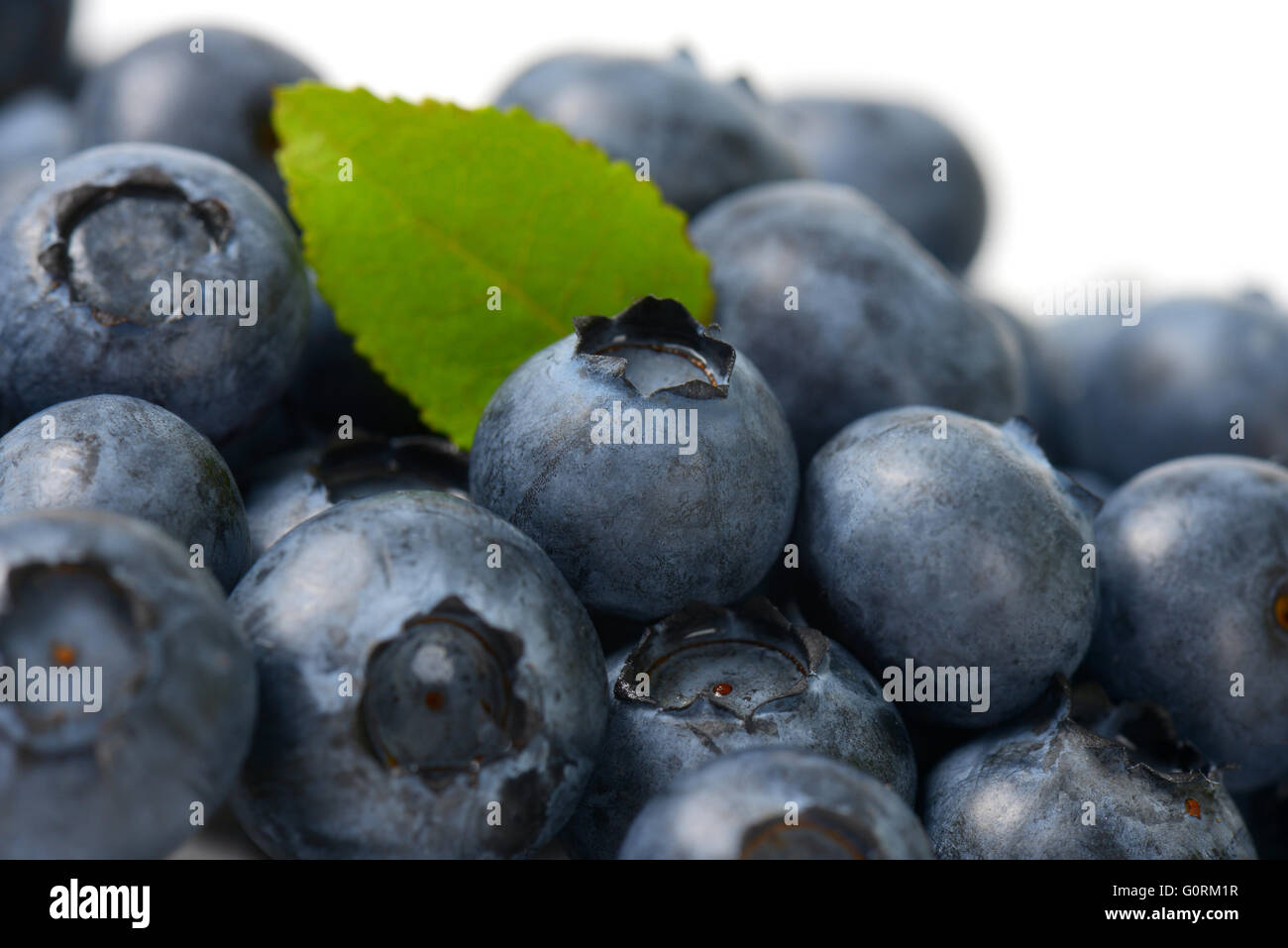 Detail of fresh ripe blueberries Stock Photo - Alamy