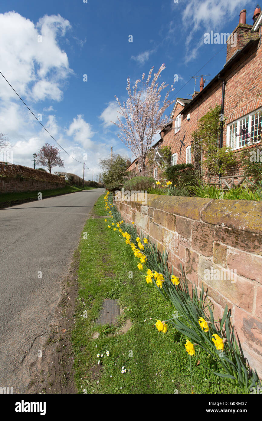 Village of Churton, Cheshire, England. Picturesque spring view of ...