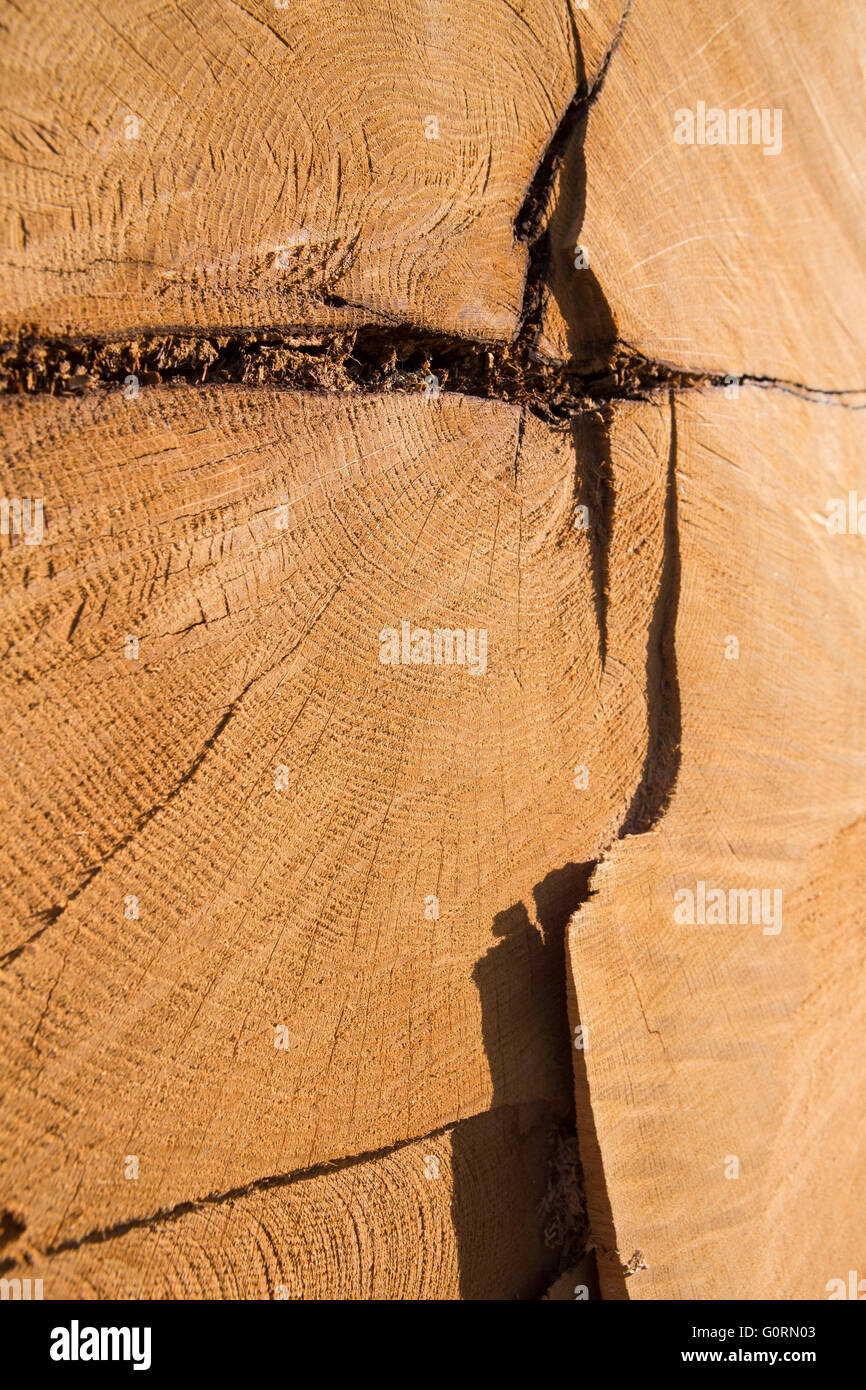 Rough sawn timber hi-res stock photography and images - Alamy
