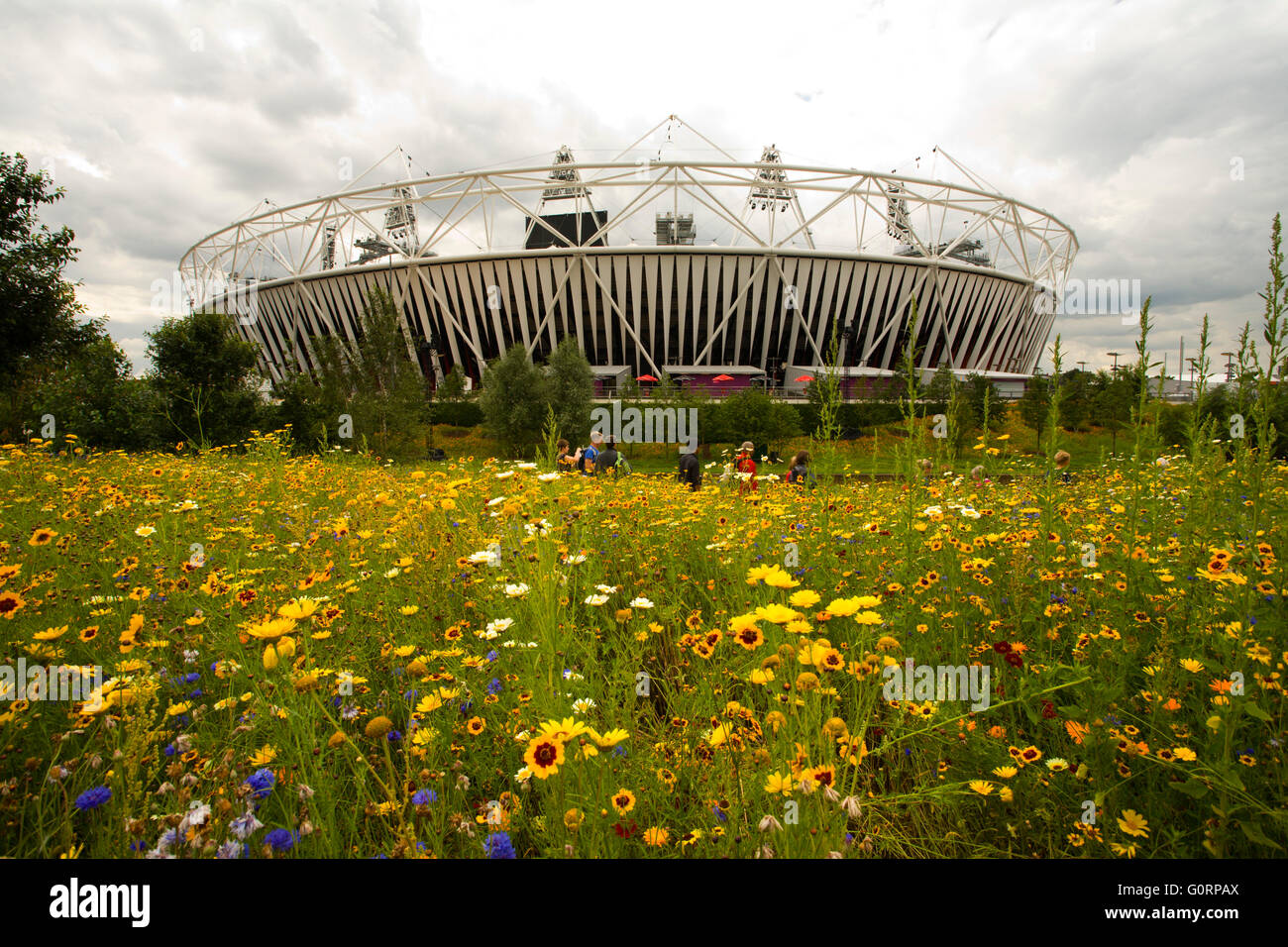 Queen elizabeth olympic park meadow hi-res stock photography and images ...