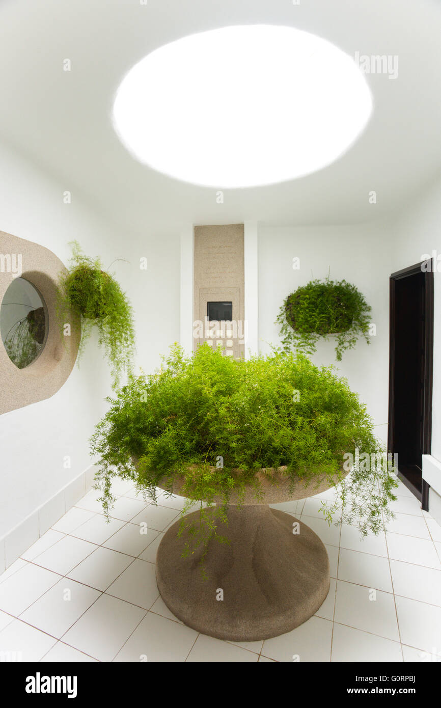Plants growing around a clean white space aged room, Jameos del Agua ...