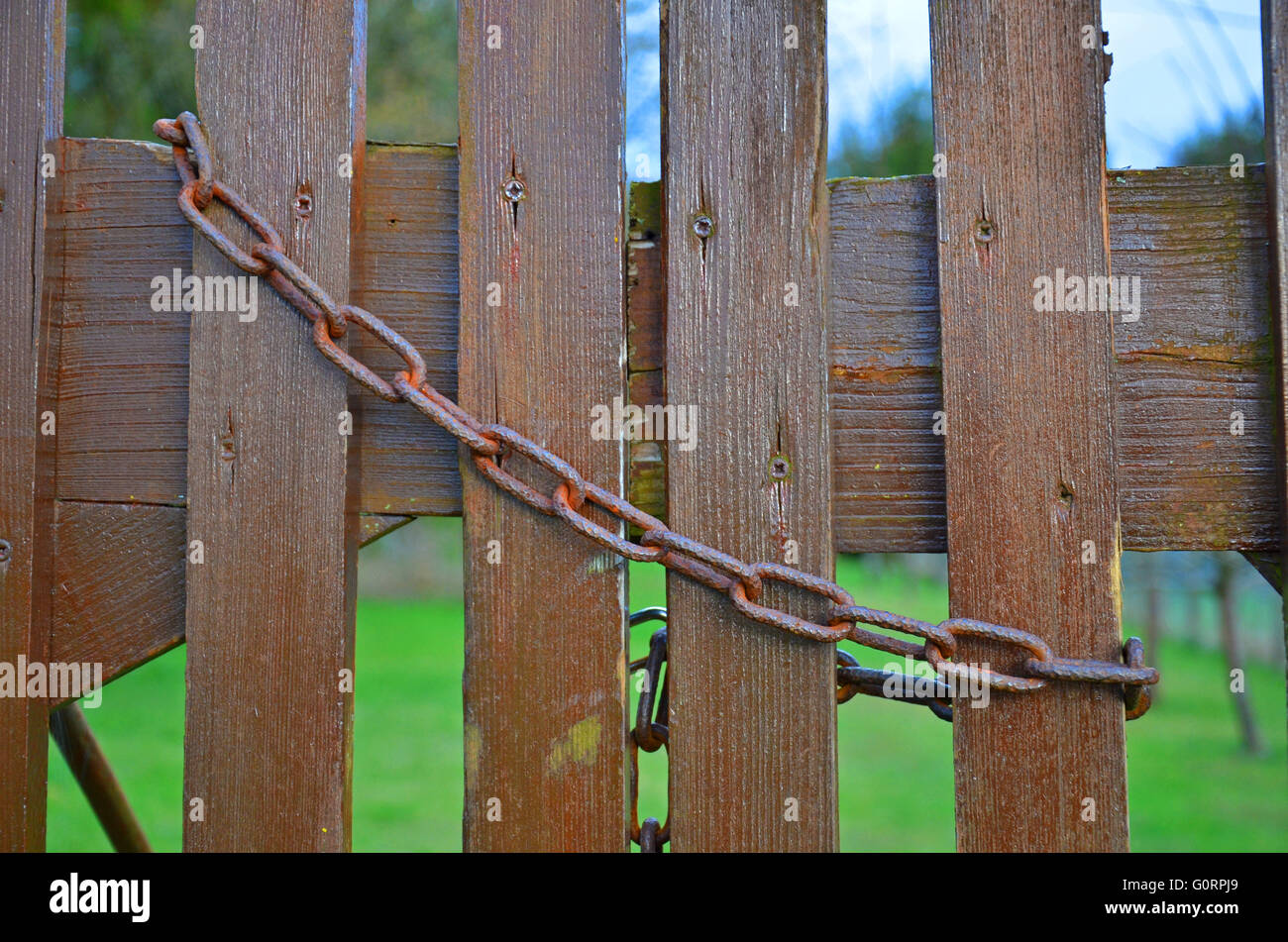 Wooden garden gate that's locked with a chain Stock Photo - Alamy