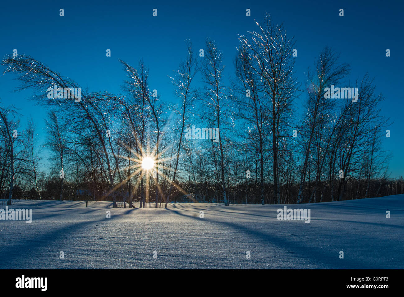 Trees snow sunset background hi-res stock photography and images - Alamy