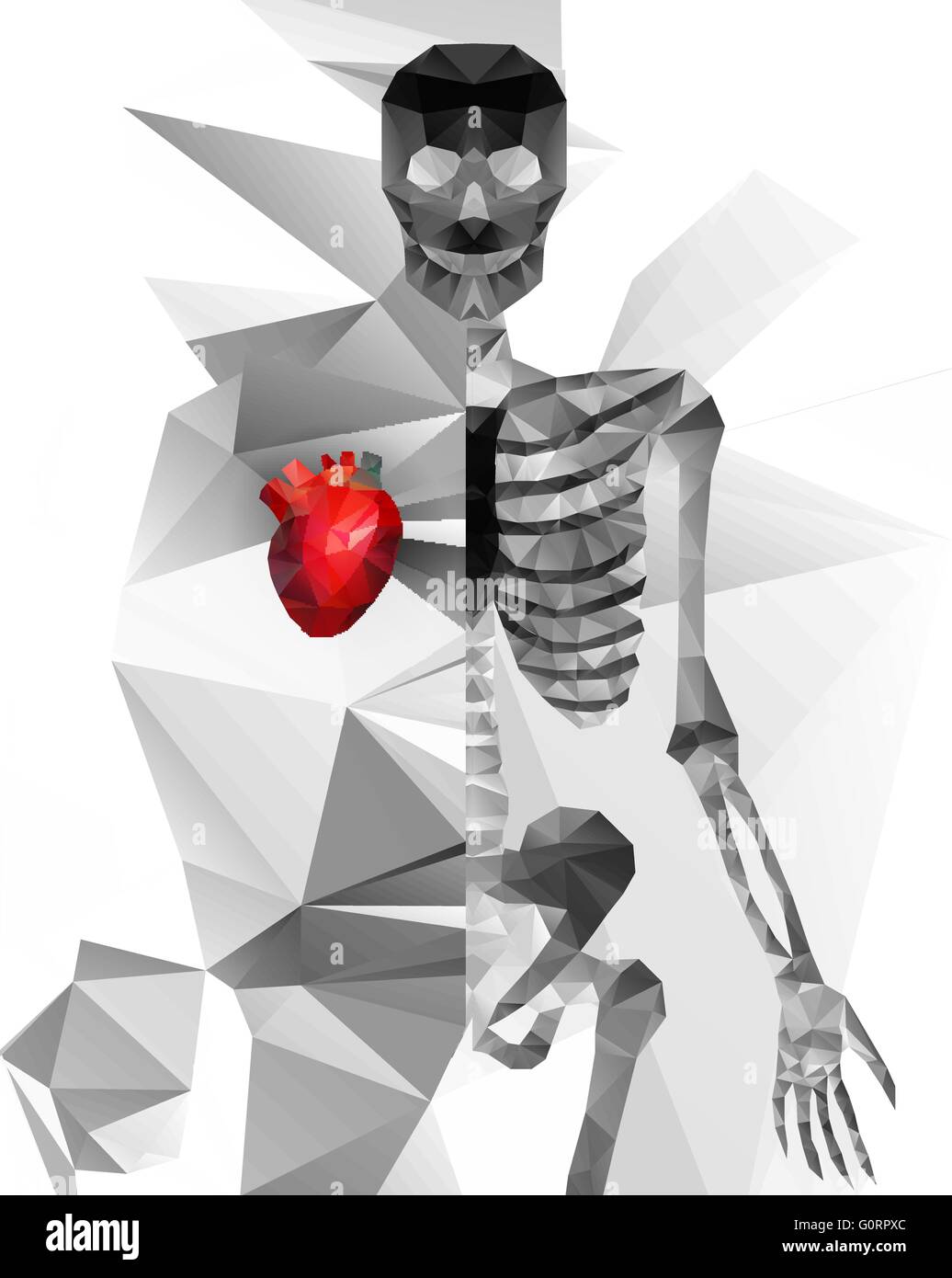 Abstract polygonal skeleton Stock Vector Image & Art - Alamy