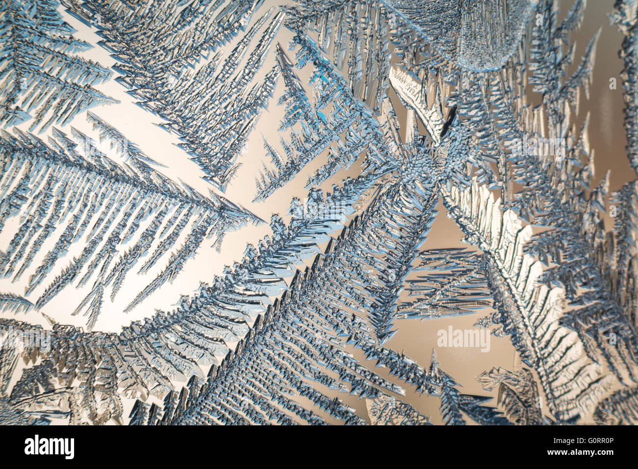 Ice model hi-res stock photography and images - Alamy