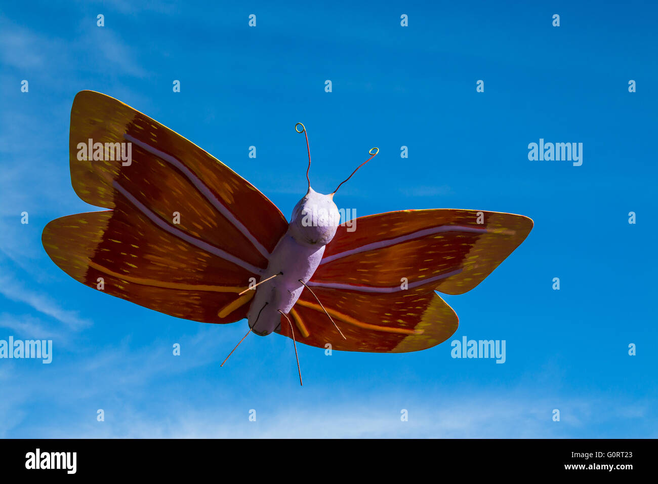Giant butterfly hi-res stock photography and images - Alamy