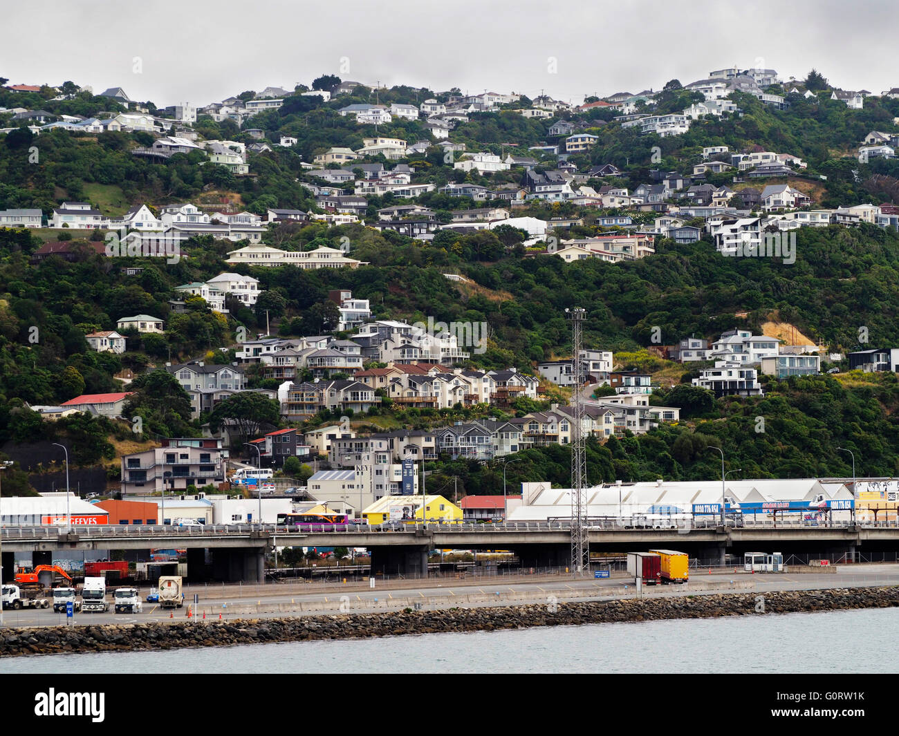 Hillside homes in Wellington, New Zealand Stock Photo - Alamy