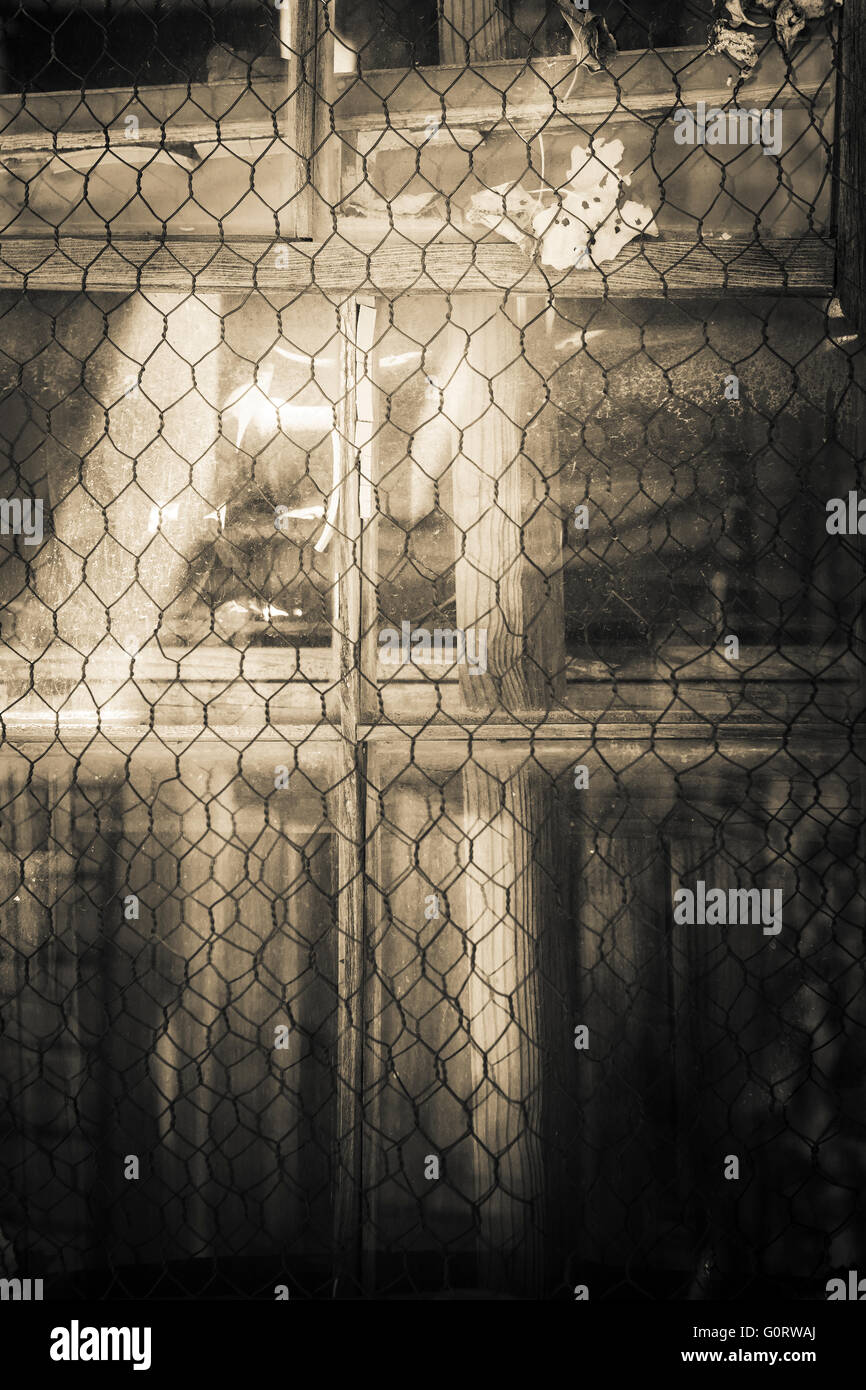 Creepy old window covered with chicken wire in black and white Stock ...