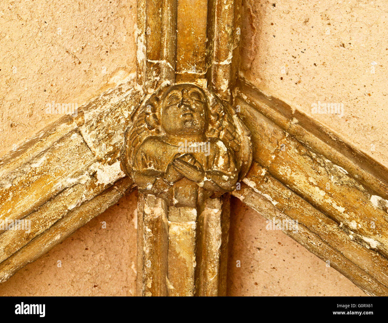 Ceiling boss hi-res stock photography and images - Alamy