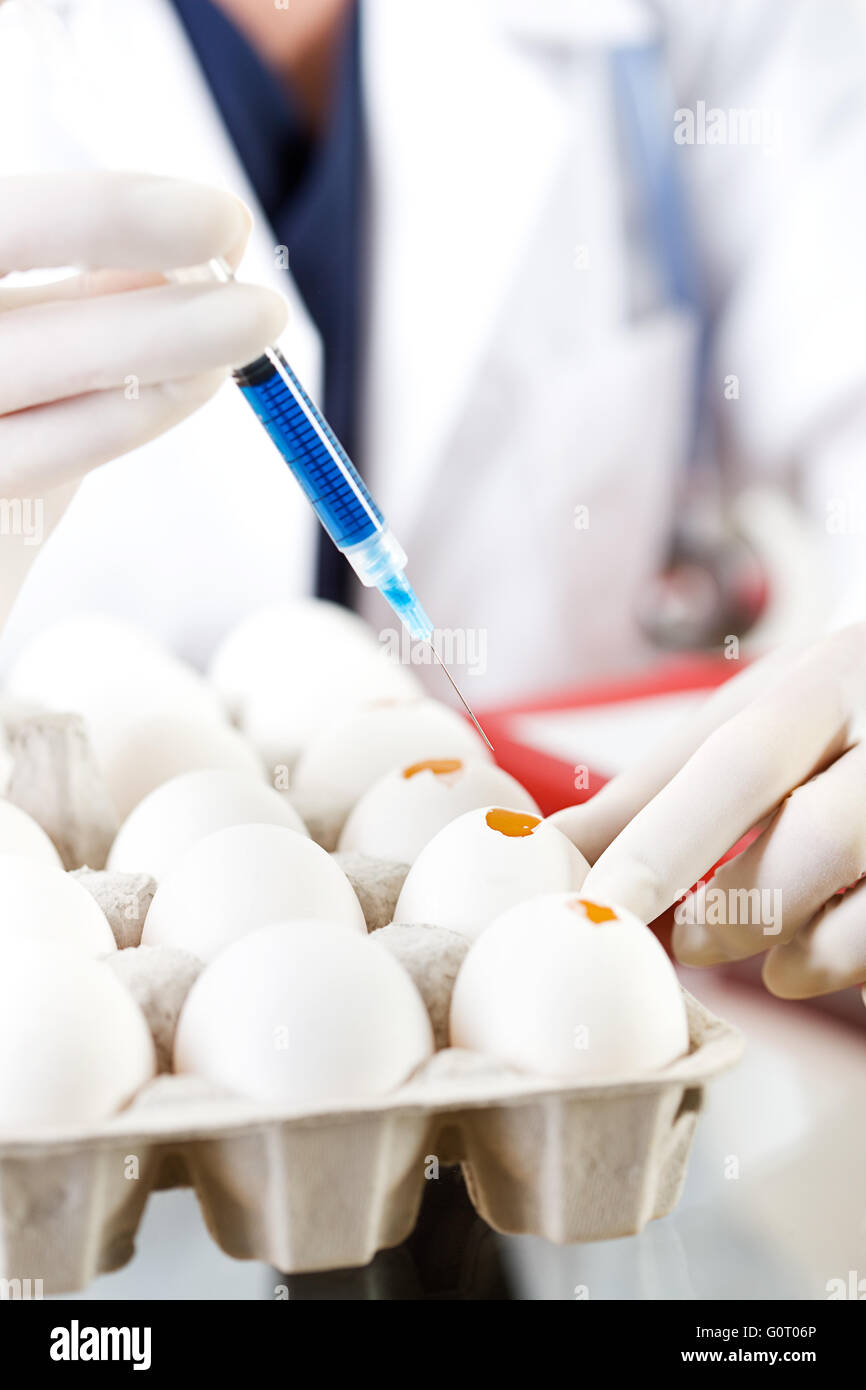 Female researcher/doctor inoculating flu virus into chicken eggs Stock ...