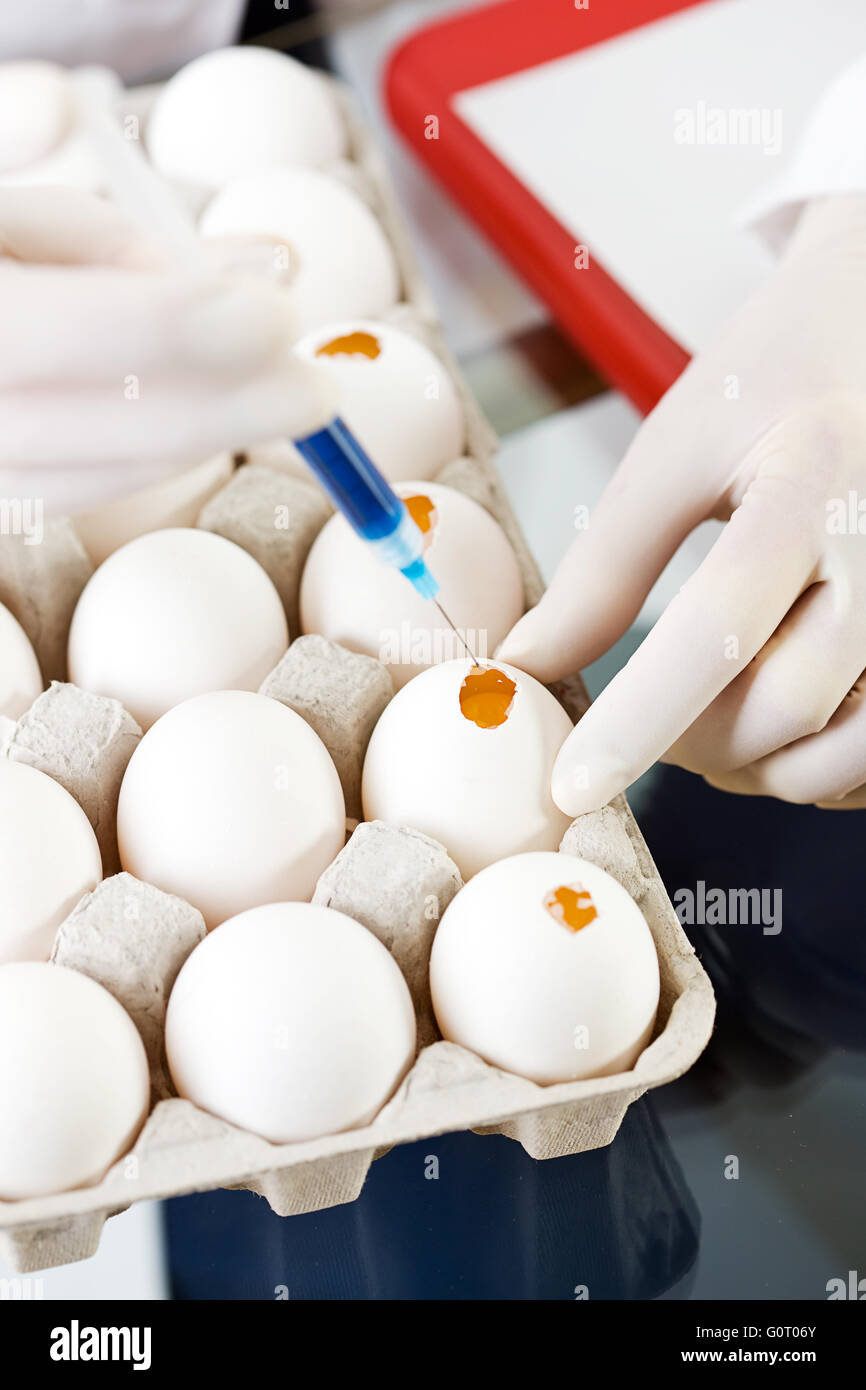 Inoculating eggs hi-res stock photography and images - Alamy