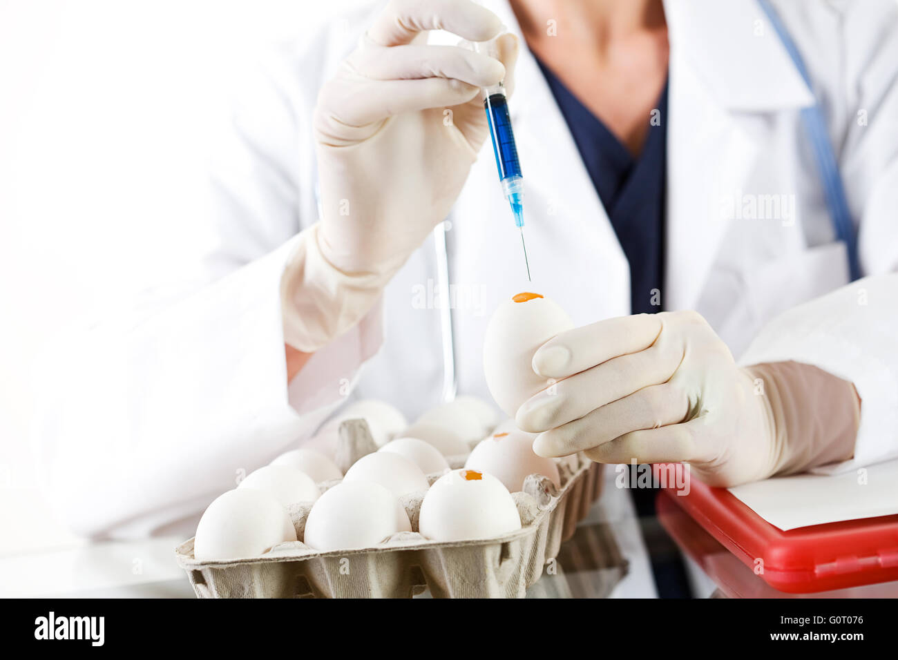 Inoculating chicken hi-res stock photography and images - Alamy