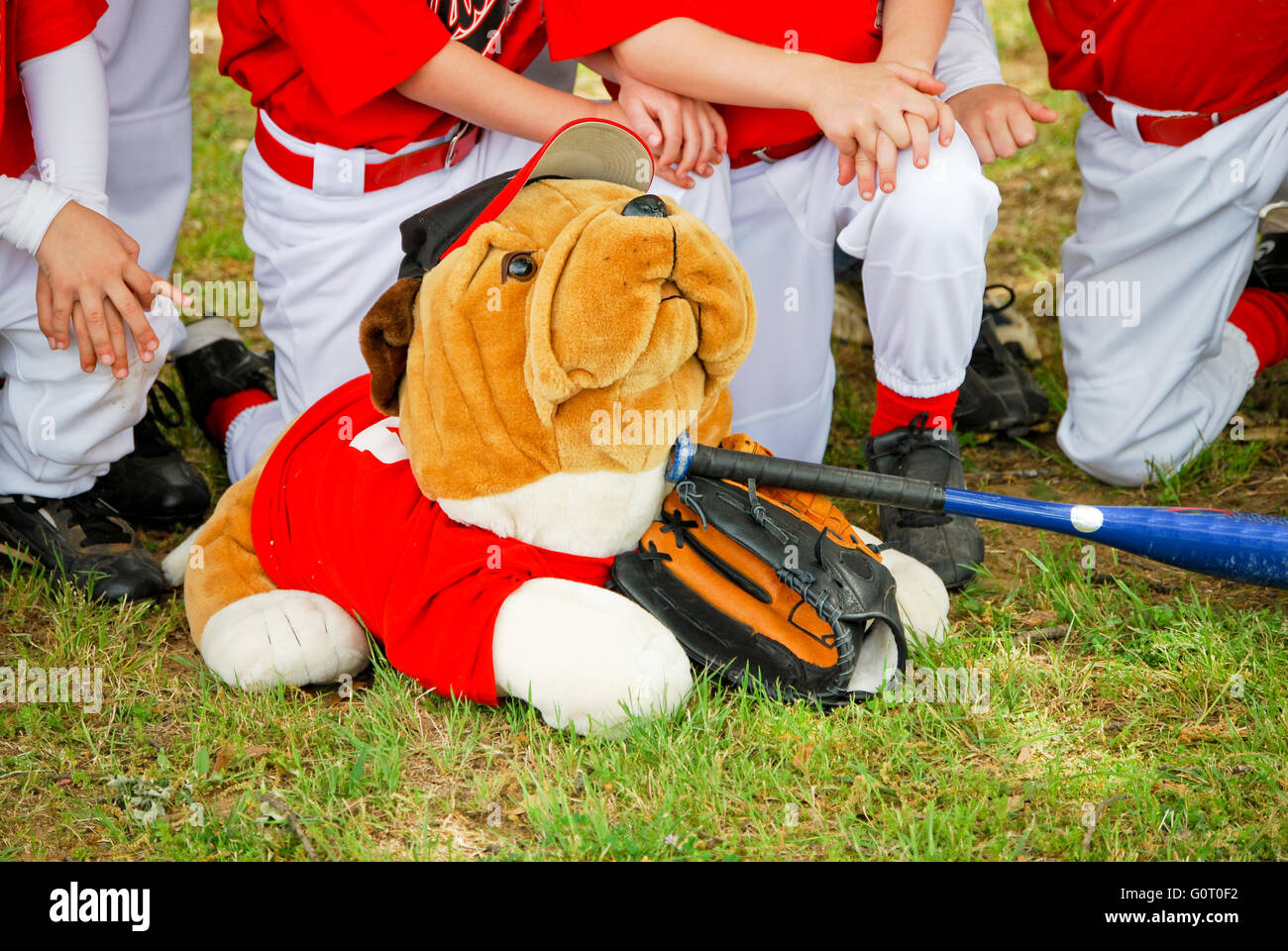 Stuffed bulldog dressed in baseball jersey in front of group of players ...