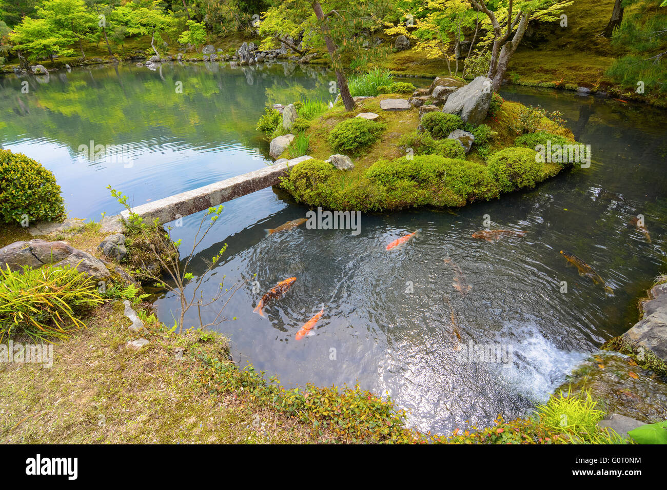 Koi fish pond lake water japan hi-res stock photography and images - Alamy