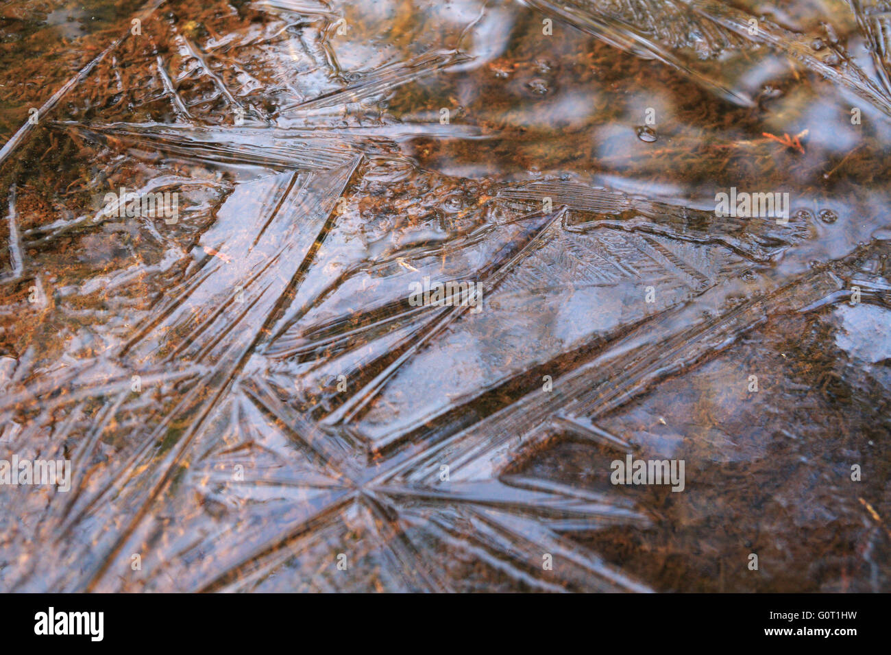 Beautiful ice geometry patterns of a frozen pond Stock Photo - Alamy
