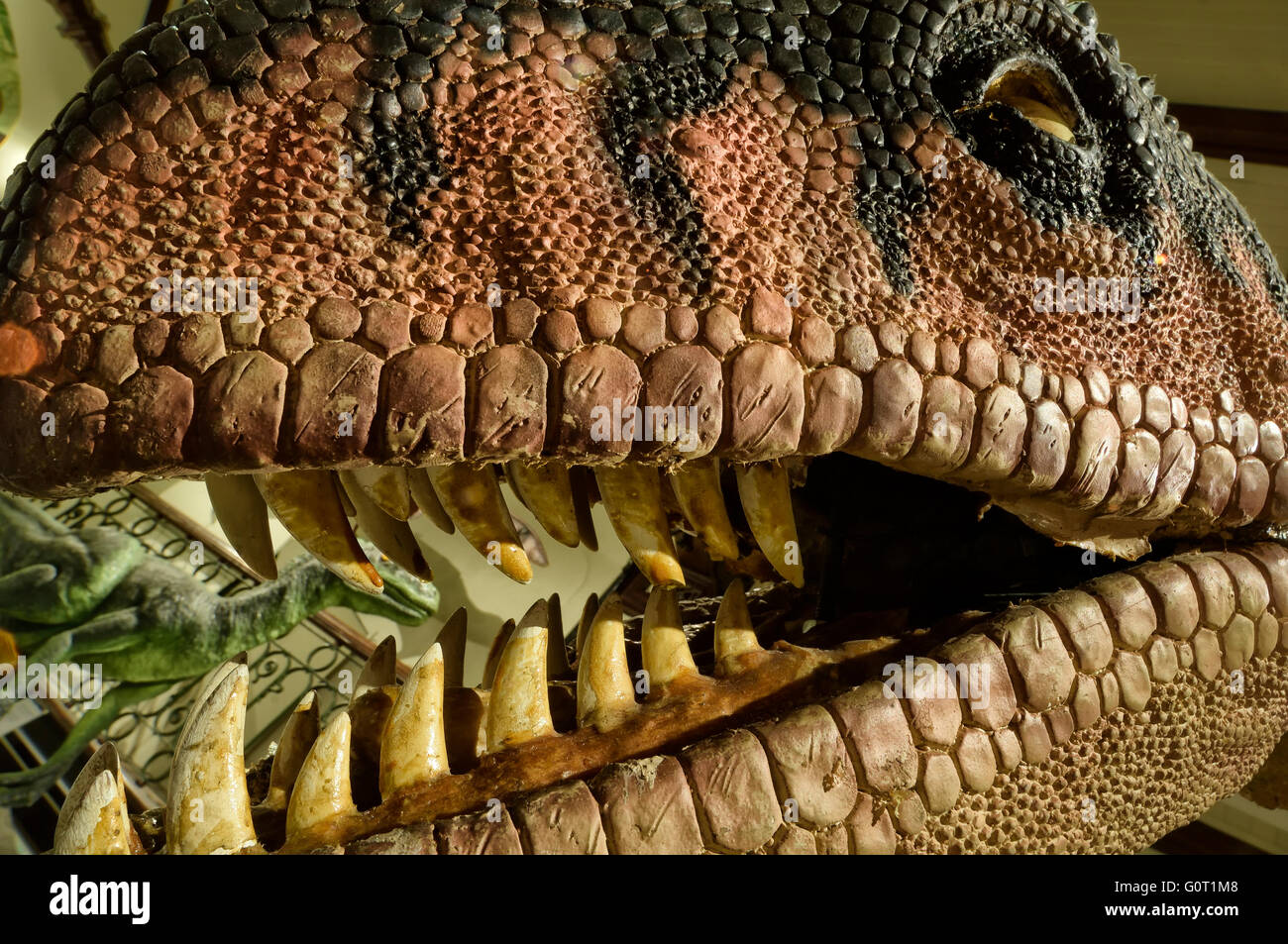 Flesh reconstruction of Jurassic meat-eating dinosaur Gasosaurus ...