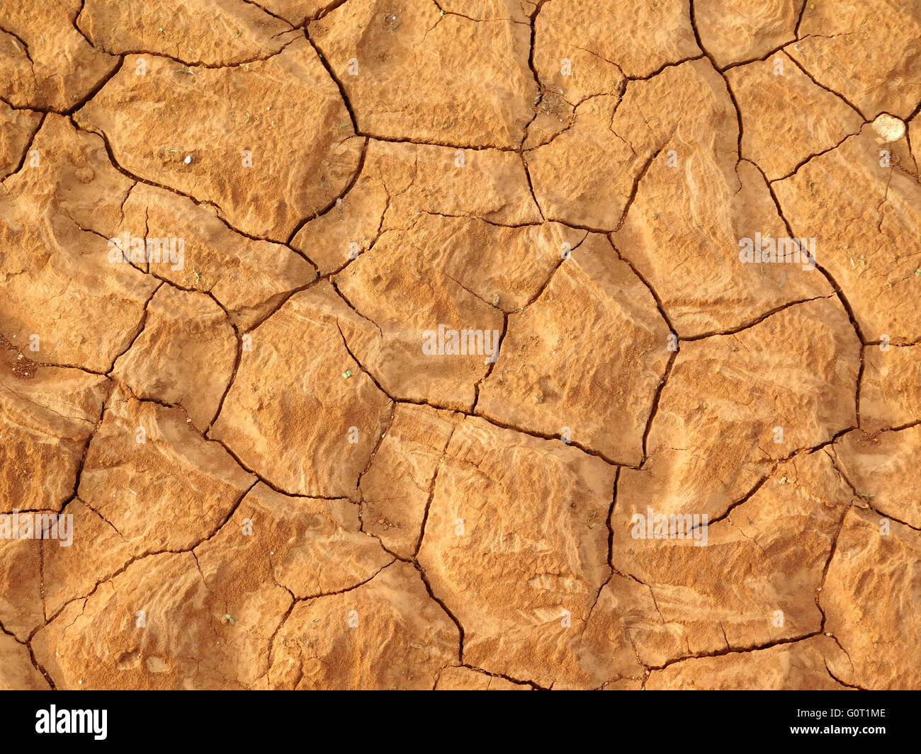 texture of land Stock Photo - Alamy