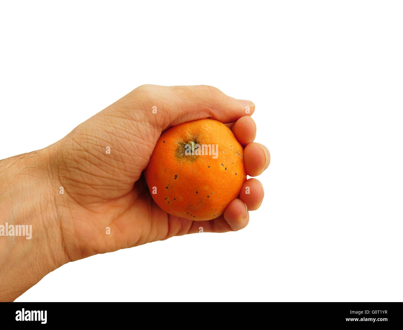 Hand with mandarin Stock Photo - Alamy