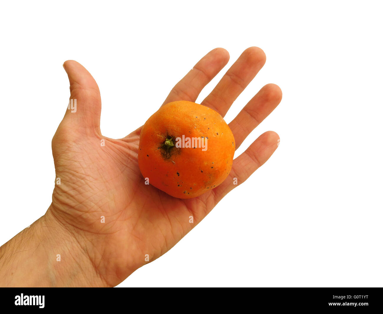 Hand with mandarin Stock Photo - Alamy