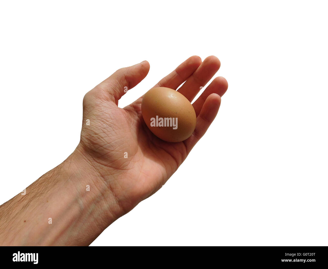 hand with egg Stock Photo - Alamy