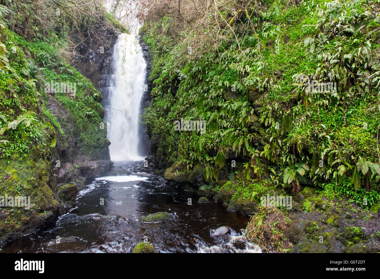 Cranny Falls, near Carnlough, Antrim, Northern Ireland Stock Photo - Alamy