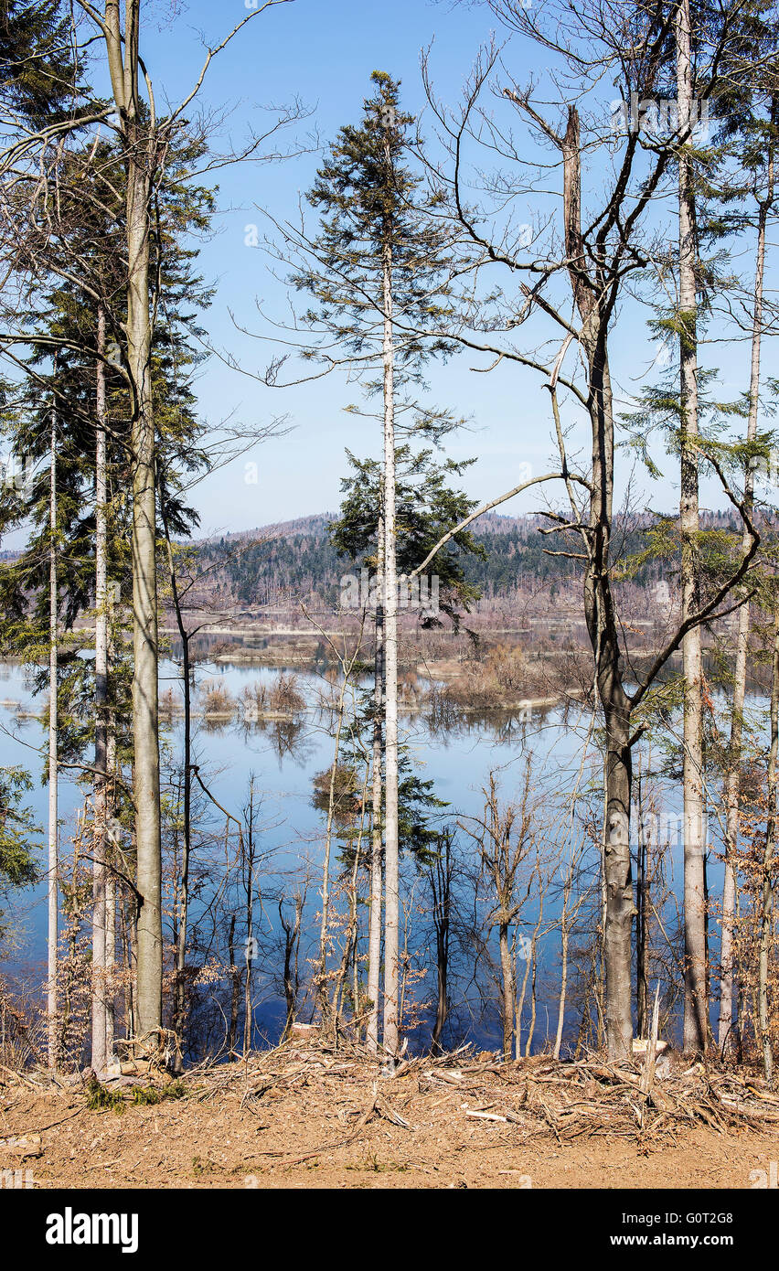 Small accumulation lake, flooding the landscape fields Stock Photo - Alamy