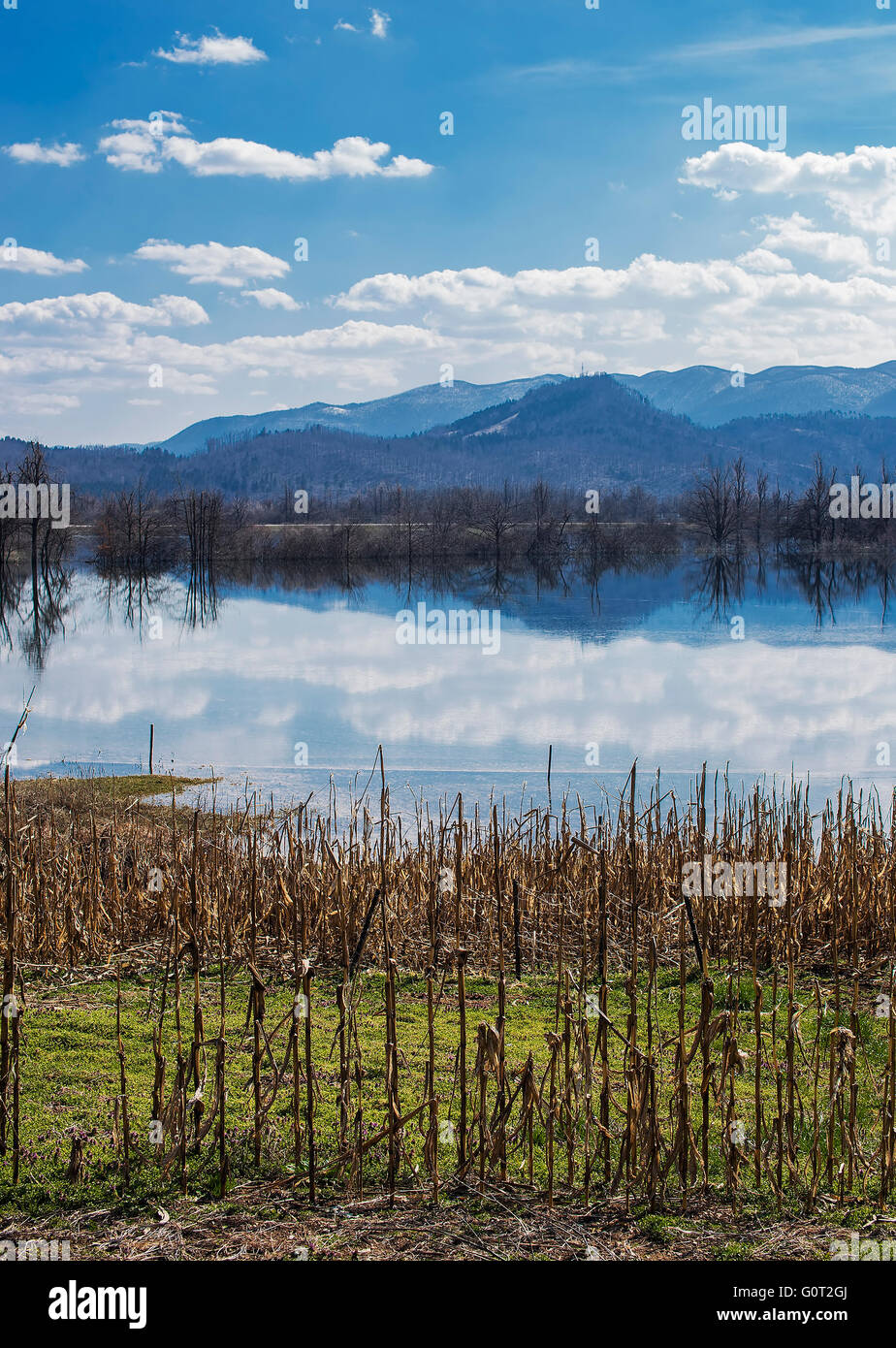 Flooded valley in an area of accumulation lake Stock Photo - Alamy