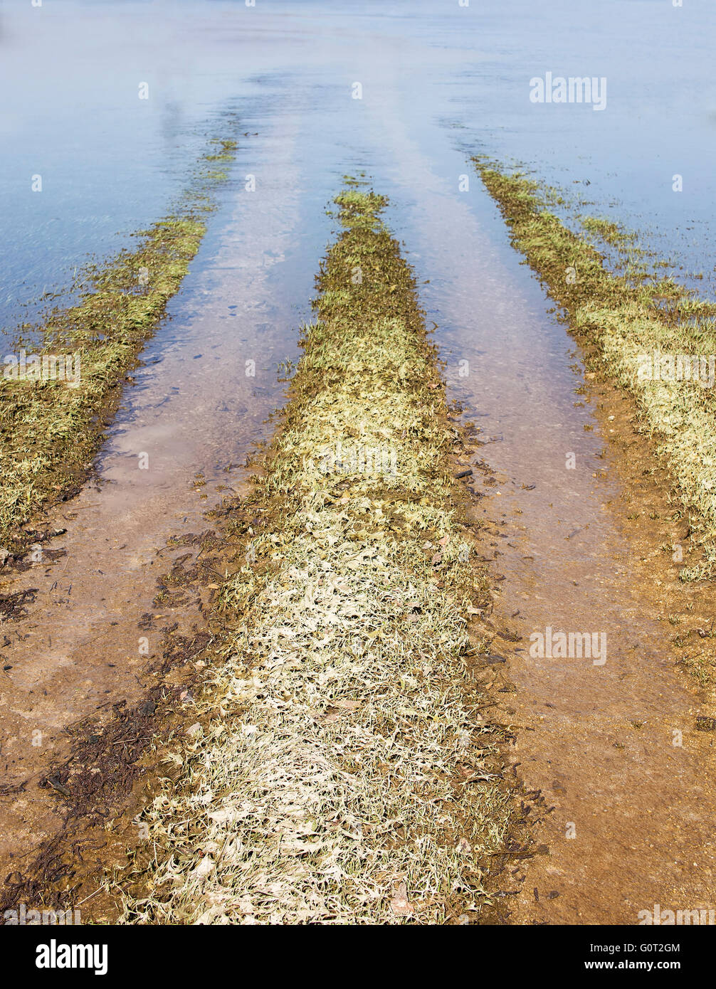 Flood flooded path hi-res stock photography and images - Alamy