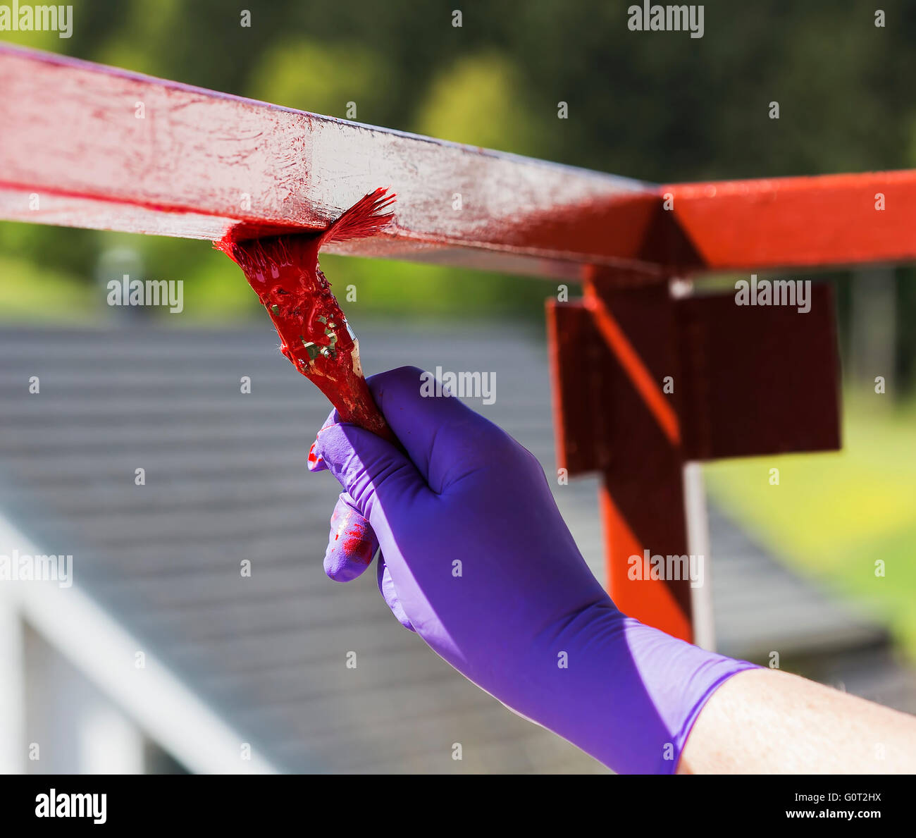 Hand wearing purple gloves and painting with a paint brush Stock Photo ...