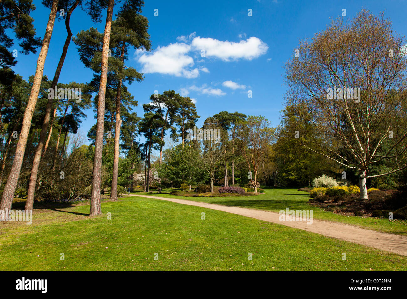 English Countryside In May High Resolution Stock Photography and Images ...