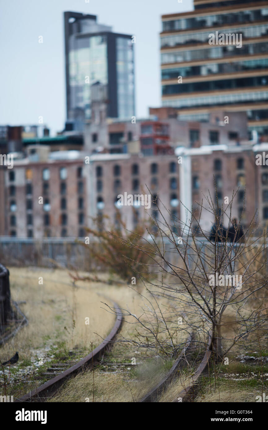 New york The High Line (also known as the High Line Park) is a linear ...
