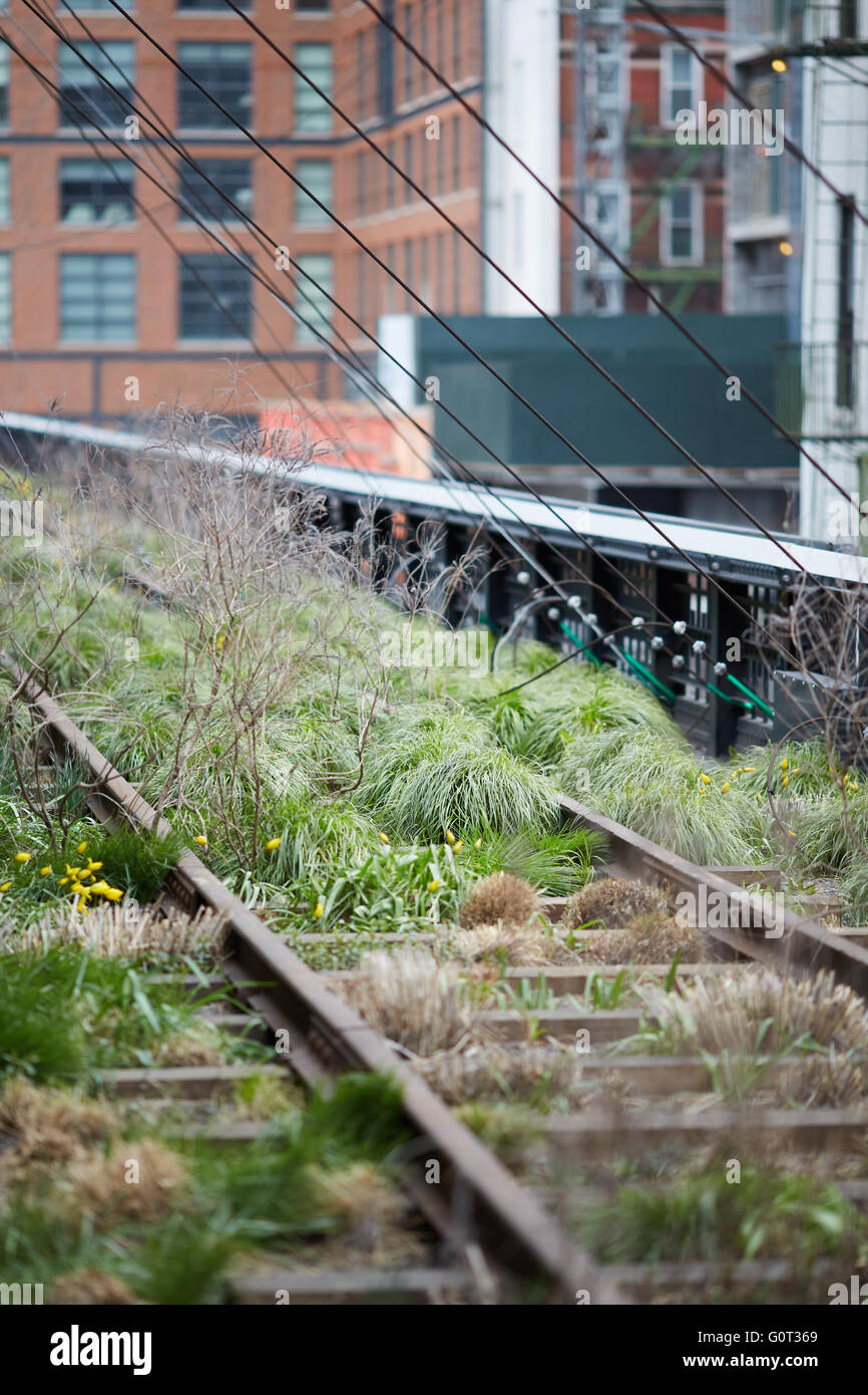New york The High Line (also known as the High Line Park) is a linear ...