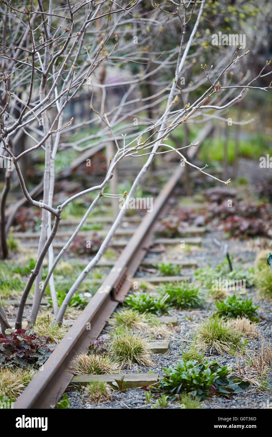 New york The High Line (also known as the High Line Park) is a linear ...