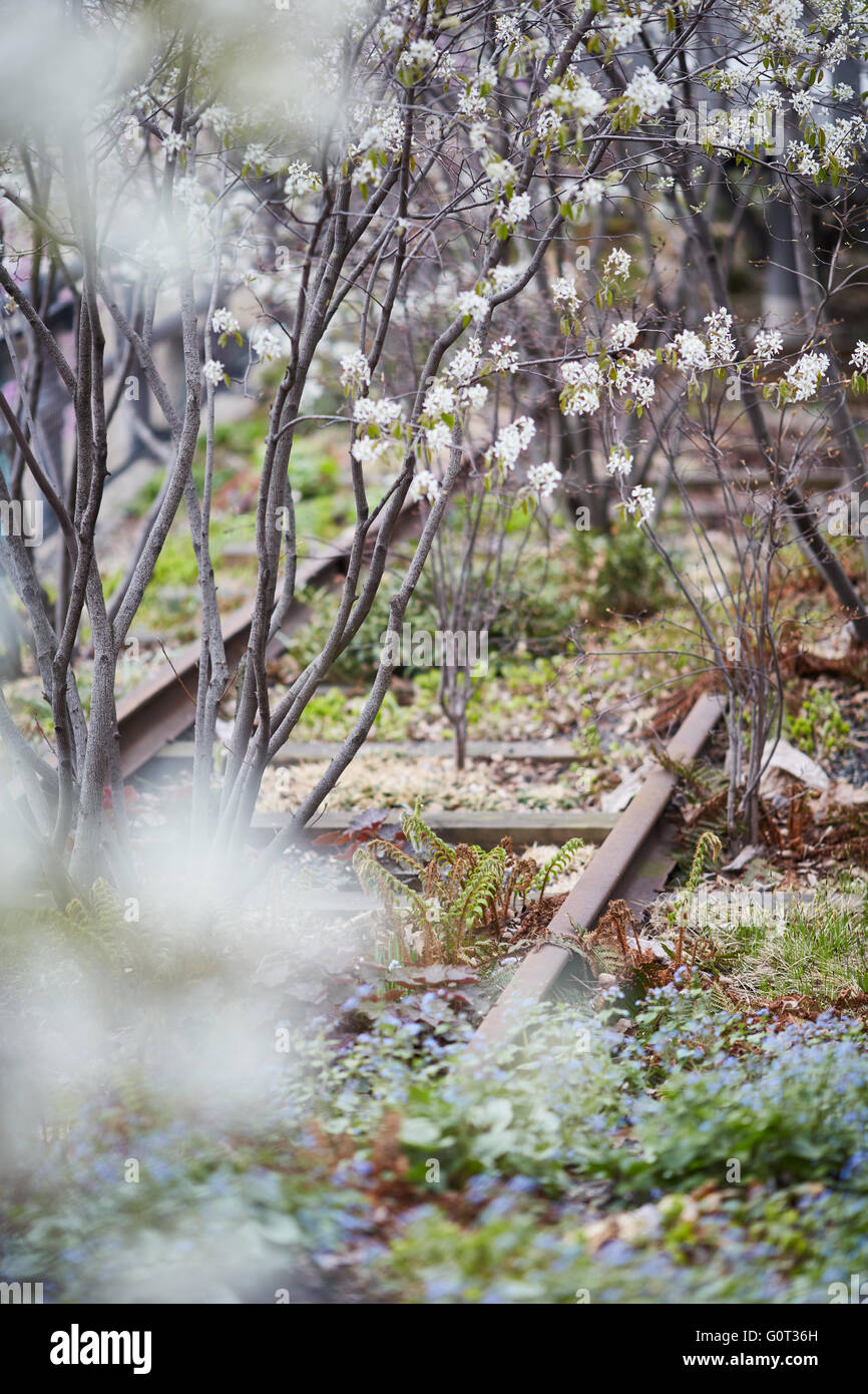 Trees line section in hi-res stock photography and images - Alamy