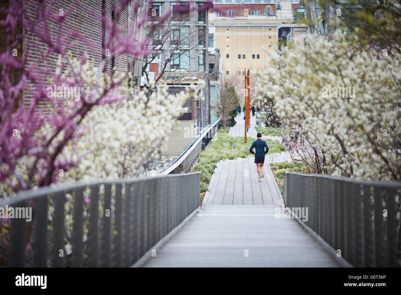 New york The High Line (also known as the High Line Park) is a linear ...