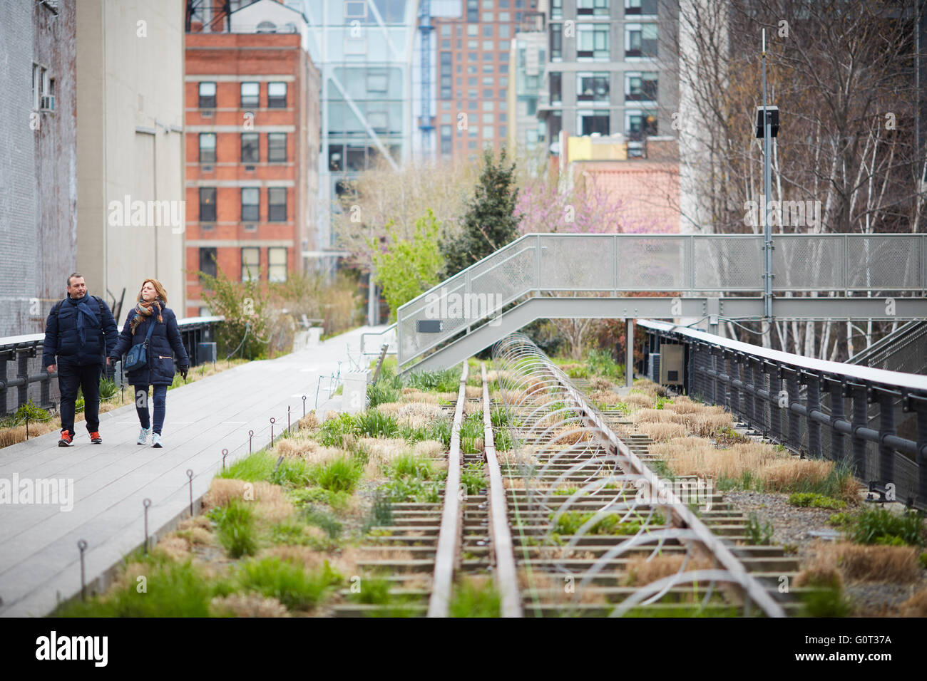 New york wild flowers The High Line (also known as the High Line Park ...