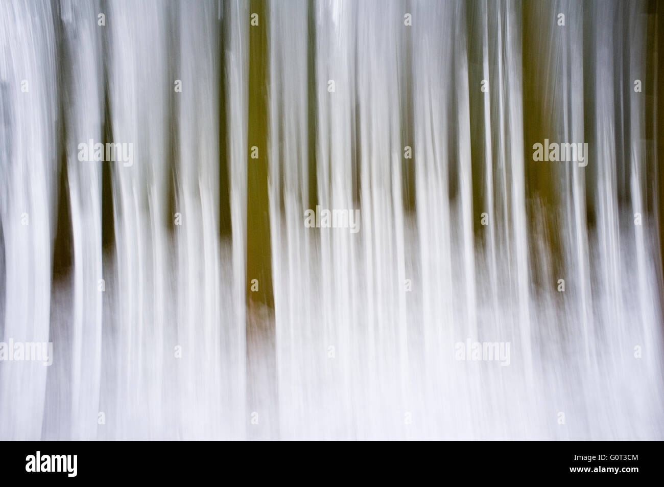 Abstract forest hi-res stock photography and images - Alamy