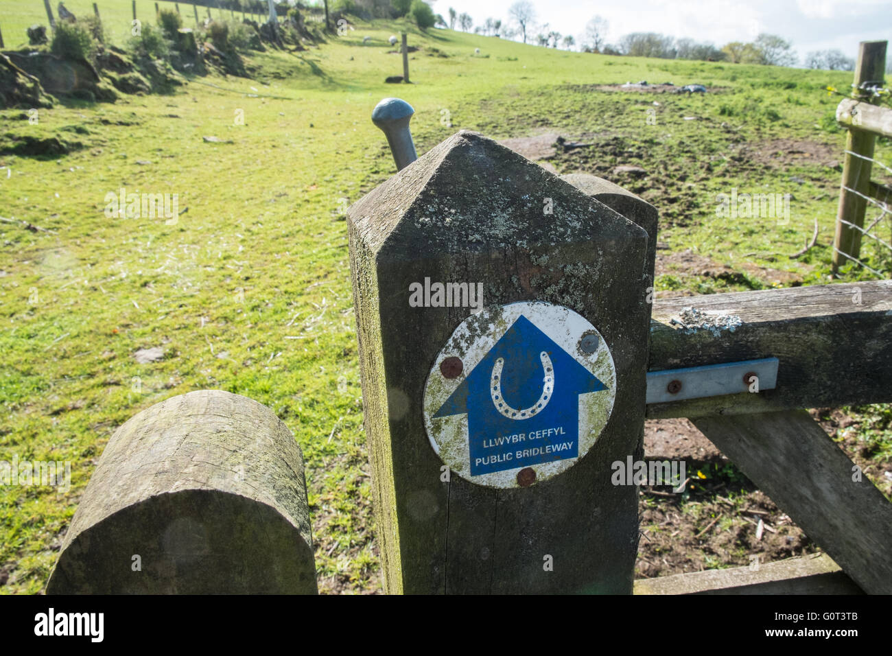 Bilingual sign.Public Bridleway,path for horse riders on a hill west of ...