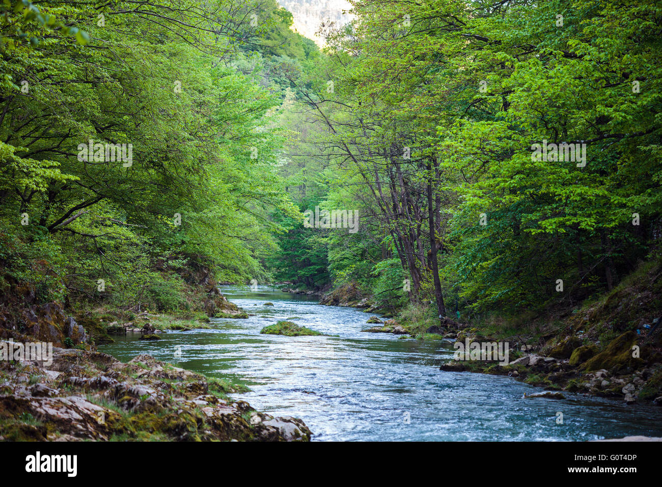Landscape with a river flowing through a forest Stock Photo - Alamy