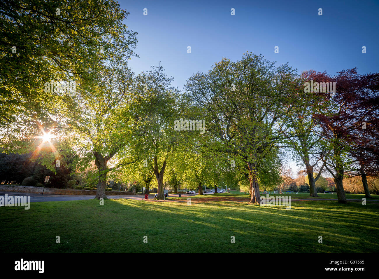 Abington Park, Northampton, evening time in spring Stock Photo - Alamy