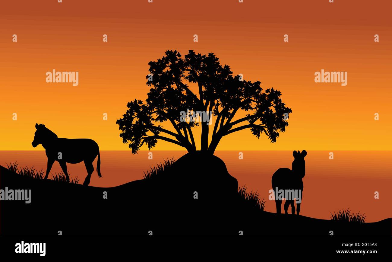 Landscape silhouette of zebra at the morning Stock Vector Image & Art ...