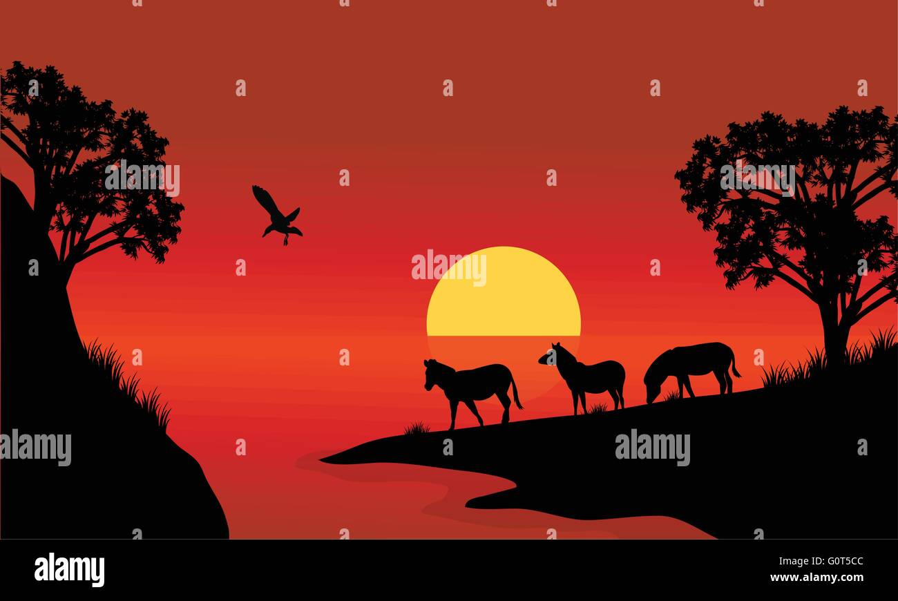 Wild zebra in beautiful Stock Vector Images - Alamy