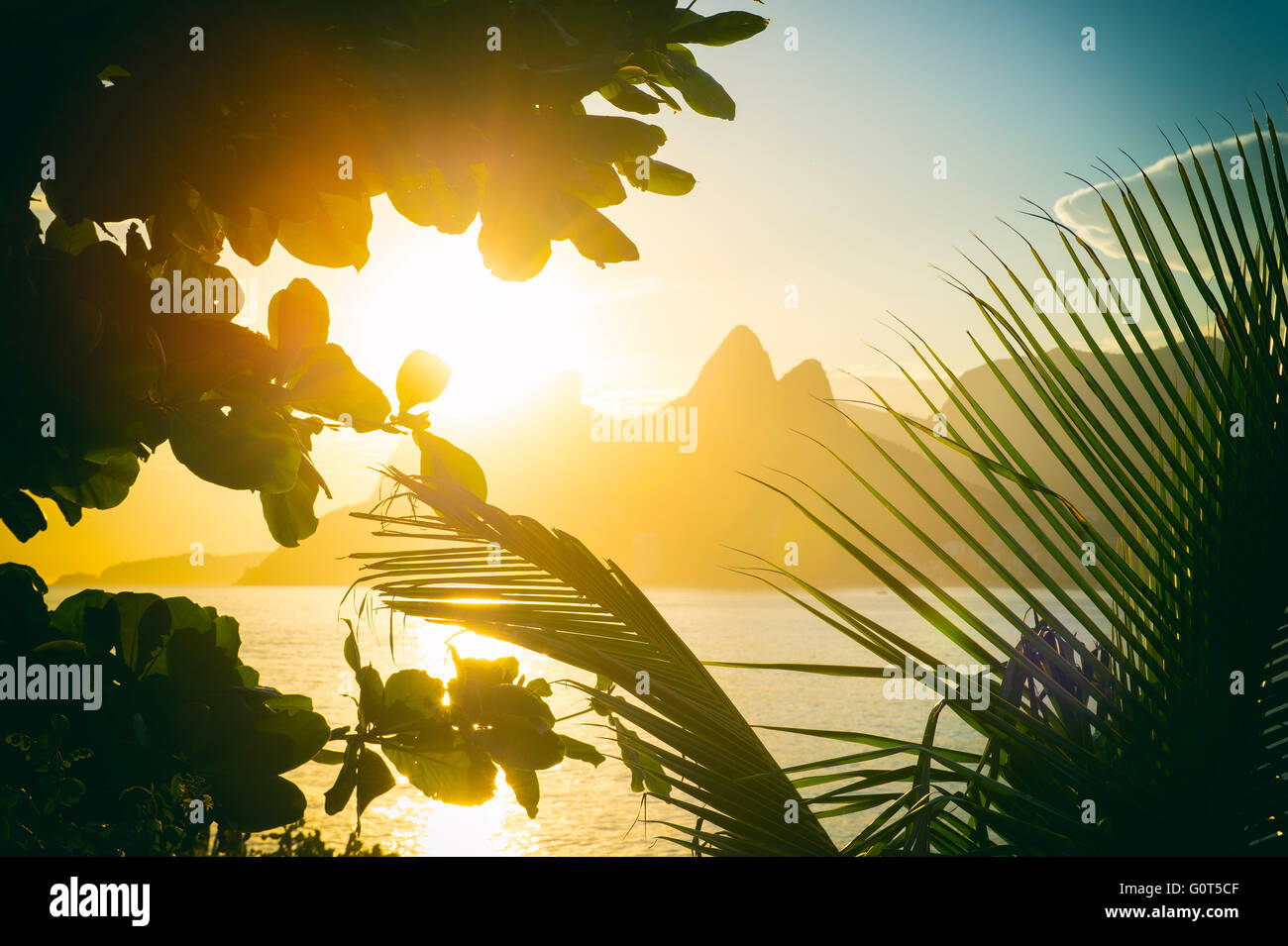 The golden sunset shines through palm tree silhouettes in Ipanema Beach ...
